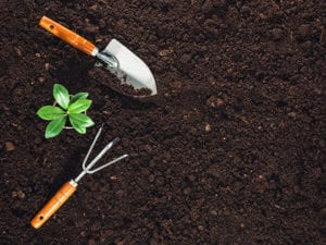 3 Components of a Healthy Church Planting Model - outreachmagazine.com