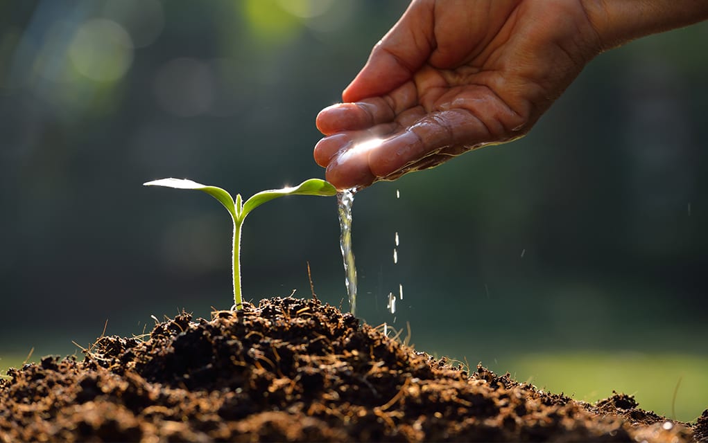 What's Needed to Be a Church Planting Leader? - outreachmagazine.com