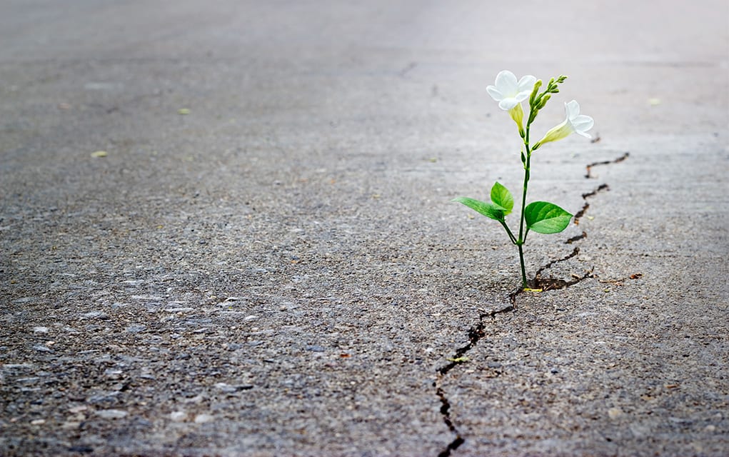 From Church Split to Church Plant - outreachmagazine.com