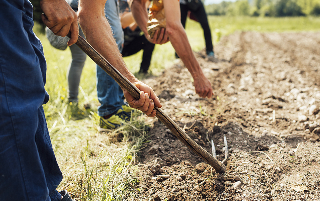 How to Build a Church-Planting Culture at Your Church ...