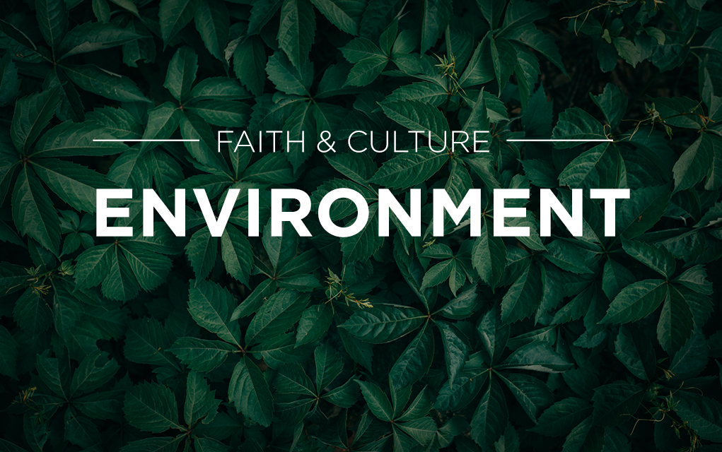 Steven Bouma-Prediger: Earthkeeping Is Integral to Our Christian Faith ...