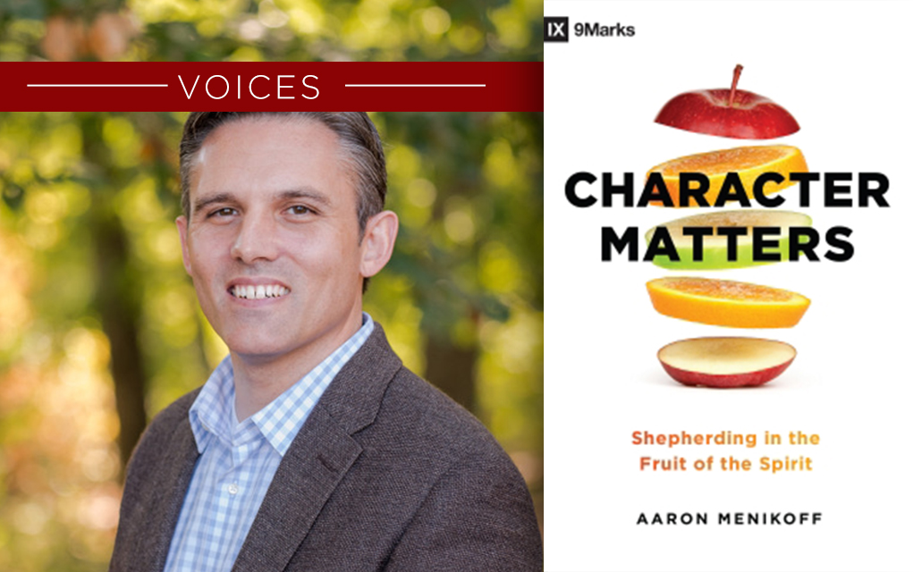 Aaron Menikoff: Shepherding in the Fruit of the Spirit ...
