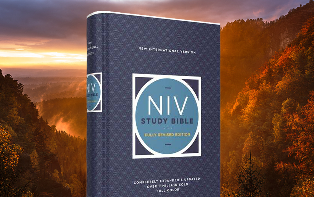 A Conversation with Mark Strauss About the New NIV Study Bible ...