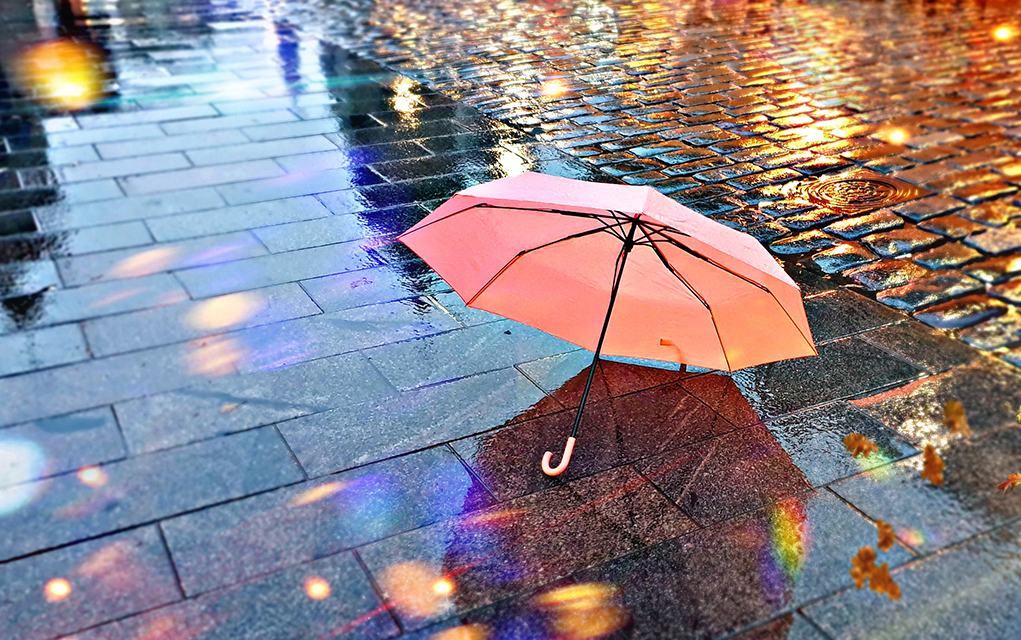 7 Steps for Agile Leadership in Ever-Changing Conditions ...