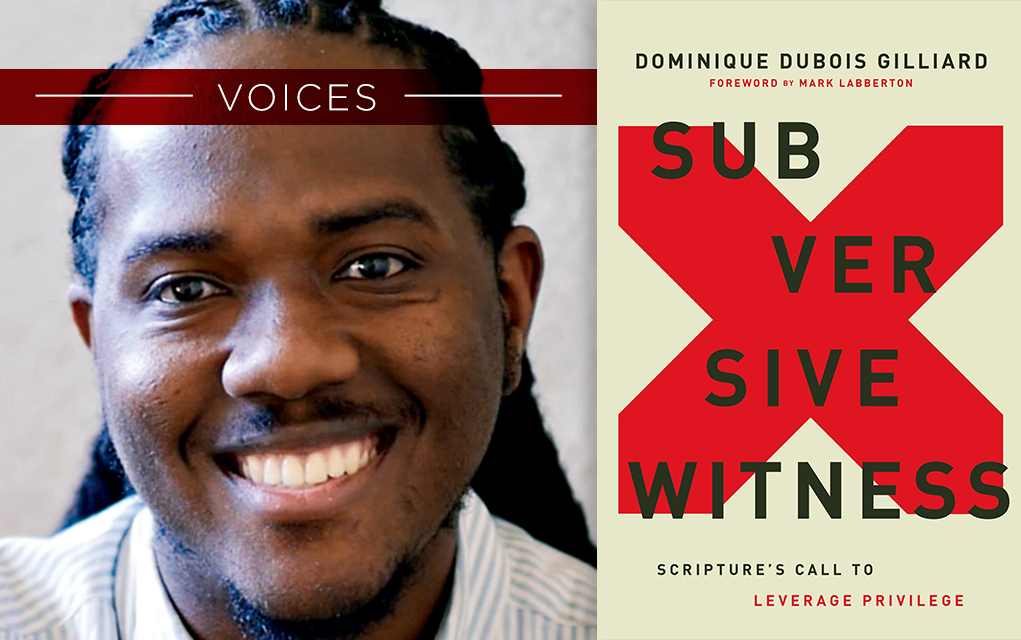 Subversive Witness: Scripture's Call to Leverage Privilege (Zondervan ...