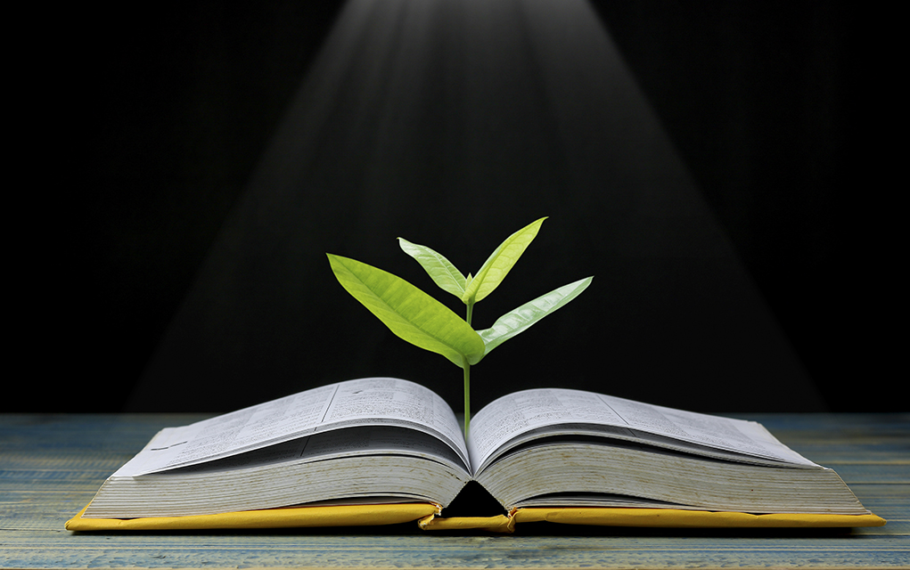 How to Grow Your Wisdom - outreachmagazine.com