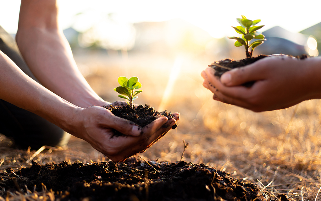 Two Church Plants, Two Different Results - outreachmagazine.com