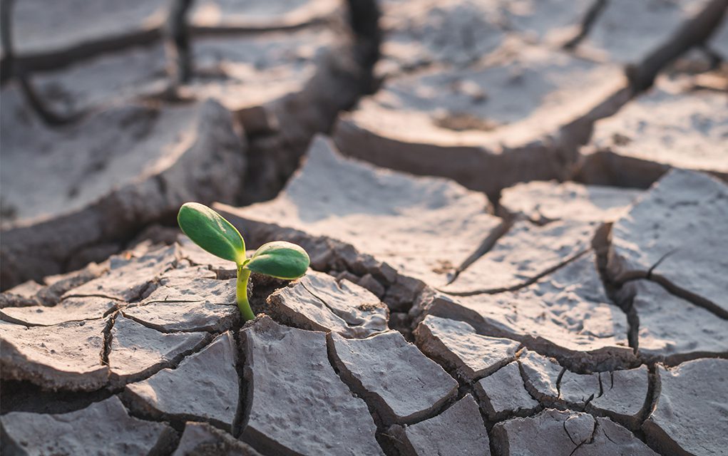 Dying to Live - outreachmagazine.com