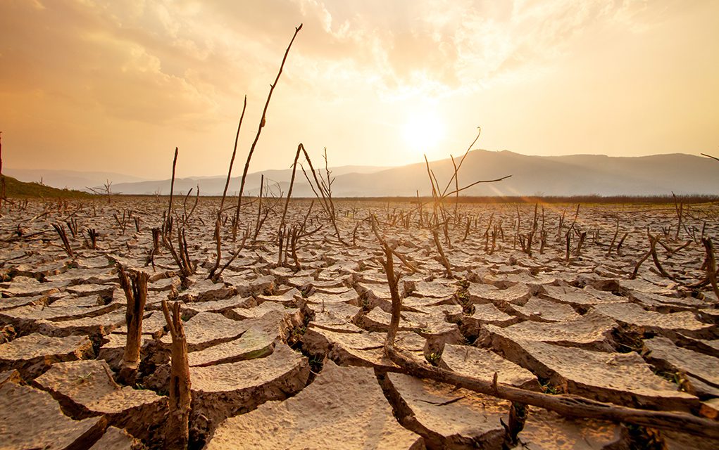 In a Dry and Weary Land - outreachmagazine.com